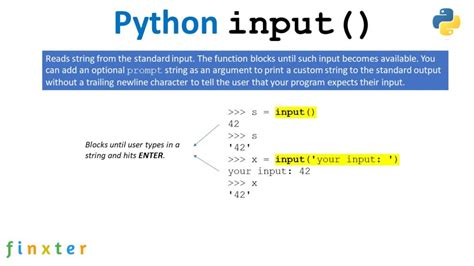 python input function hot sex picture