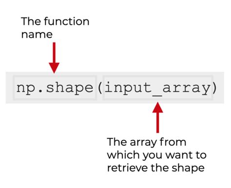 The Numpy Shape Function Explained R Craft