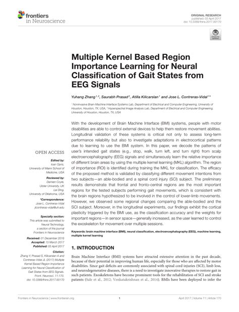 pdf multiple kernel based region importance learning for neural classification of gait states