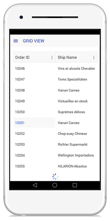 xamarin forms datagrid control telerik ui for xamarin