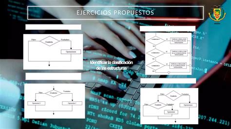 ESTRUCTURAS DE CONTROL CONDICIONALES PPT