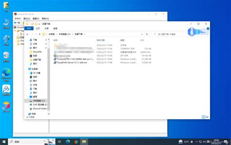 windows安装系列：svn server服务 svn server windows csdn博客