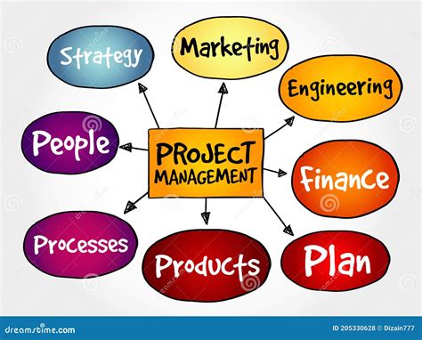 Project Management Mind Map Stock Illustration Illustration Of