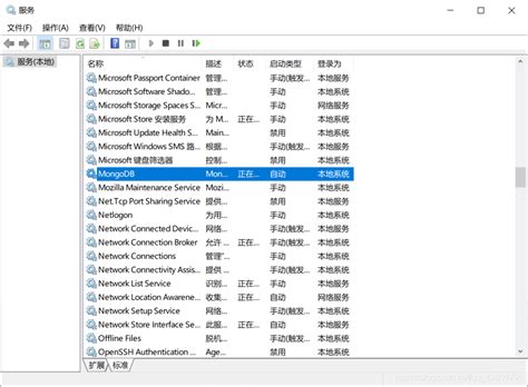 windows 安装 mongodb 并且使用navicat 导入 json数据库文件 navicat mongo 导入bson json 文件 csdn博客