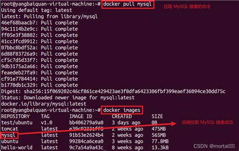 docker 安装 mysql 并使用 navicat 连接 navicat 连接 docker mysql csdn博客