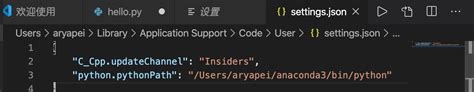 vscode配置python环境 vscode搭建python开发环境 csdn博客