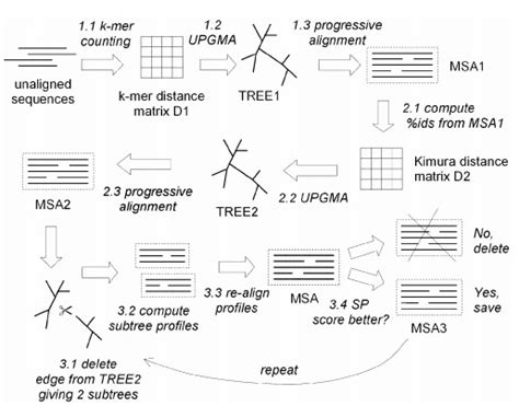 muscle tool for multiple sequence alignment — bioinformatics review