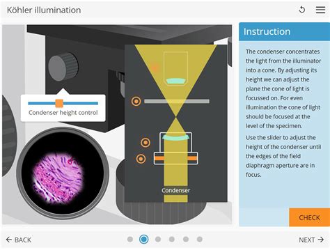 LearnSci LabSim Kohler Illumination