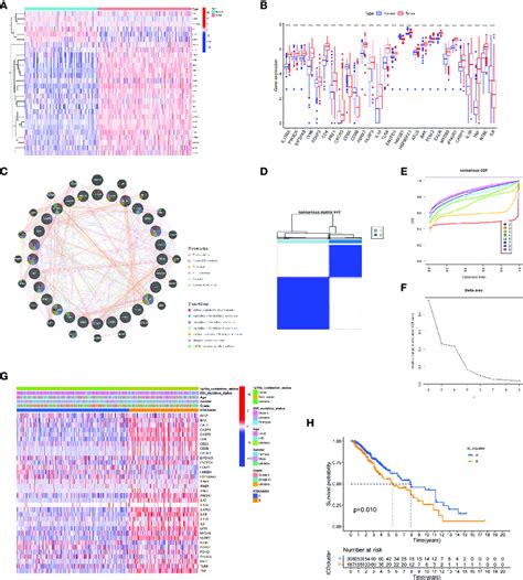 expression patterns and consensus cluster of icd related genes a b download scientific