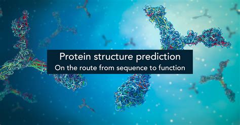 protein structure prediction on the route from sequence to function
