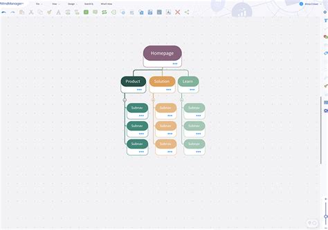 What Is A Web Diagram How To Make One MindManager
