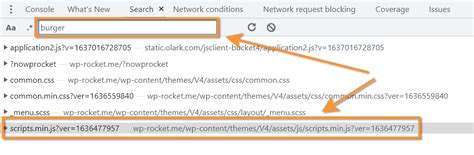 Troubleshoot Delay JavaScript Execution Issues WP Rocket Knowledge Base