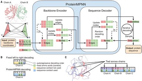 robust deep learning based protein sequence design using proteinmpnn science