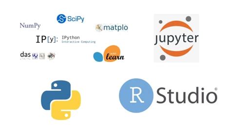 Do Data Science Machine Learning And Analysis Projects In Python And R By Saheem21 Fiverr