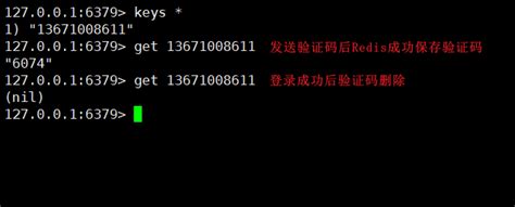 springboot详解如何整合redis缓存验证码 技术经验 w3xue