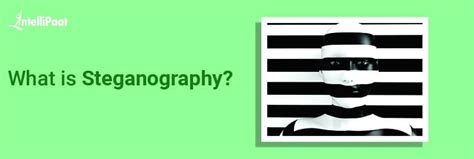 what is steganography types techniques applications