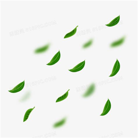 手绘漂浮的绿色树叶免抠素材图片免费下载 PNG素材 编号1yqi6oeqe 图精灵