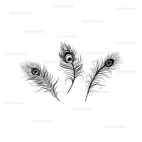 Peacock Feathers Svg Peacock Svg Peacock Feather Svg Bird Etsy