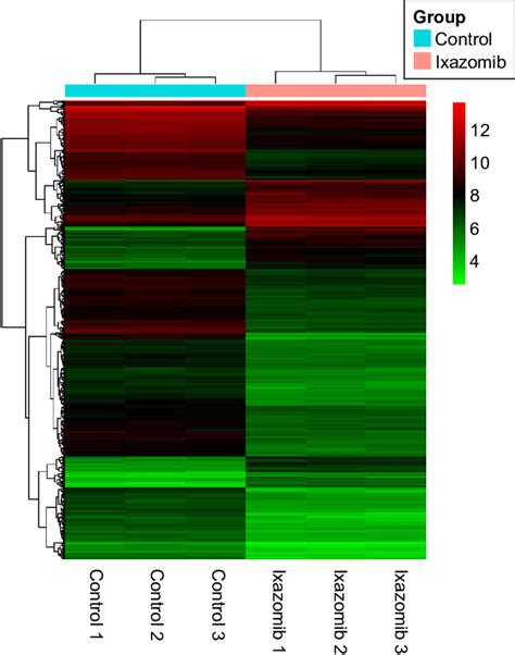 heatmap overview of the hierarchical clustering analysis download scientific diagram