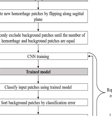 steps of the training process of the convolutional neural network cnn download scientific