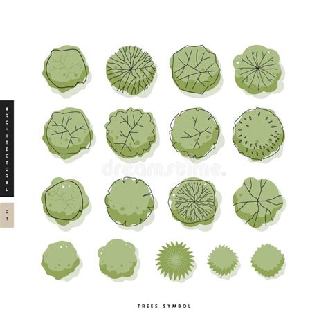 Various Green Trees Bushes And Shrubs Top View For Landscape Design