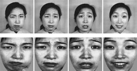 [pdf] facial expression recognition with local binary patterns and linear programming 1