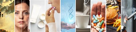 The Ultimate Guide To Treating Dry Skin On The Face Causes Symptoms Skinq