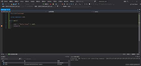 Visual Studio Vs Csdn