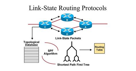 why does distance vector routing scale better than link state routing by adroit information