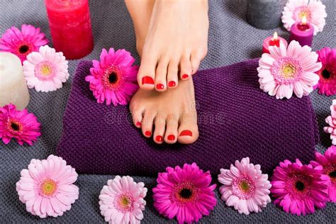 Bare Feet Of A Woman Surrounded By Flowers Stock Image Image Of Feet Magenta 38563783