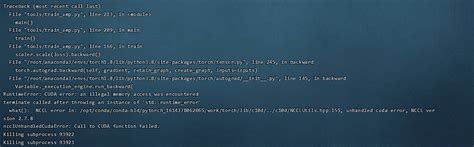 Runtimeerror Cuda Error An Illegal Memory Access Was Encountered