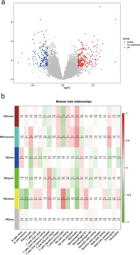 A Volcano Plot Of Differentially Expressed Genes B Heatmap Shows