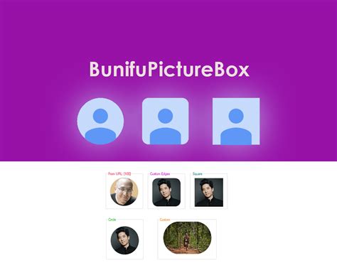 simple guide on how to use picture box custom properties bunifu framework stylish and fast