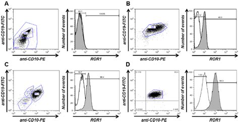 Cell Surface ROR1 Expression On Primary ALL Blasts A Flow