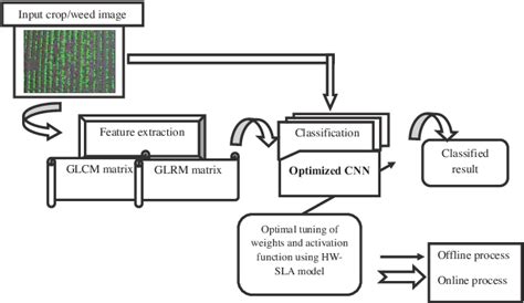 figure 1 from parametric analysis on crop weed classification via optimized convolutional neural