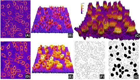 region based segmentation a gradient of image in figure 1 a this download scientific