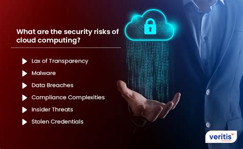 Cloud Computing Security Risks Types Best Practices