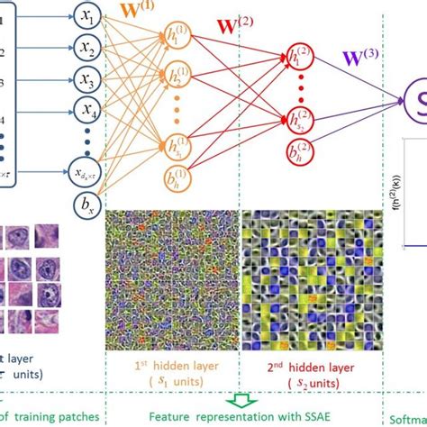 pdf stacked sparse autoencoder ssae based framework for nuclei patch classification on