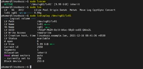 How To Create LVM Partition In Linux Step By Step