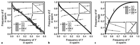 neutral and adaptive models of sex determination transitions the 3 download scientific diagram