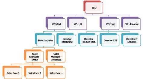 zoho crm sample role hierarchy