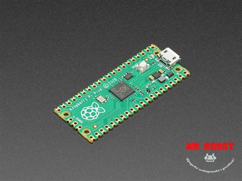 raspberry pi pico rp2040 arm cortex m0 mr robot