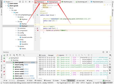 关于springboot自定义注解使用aop拦截不生效的巨坑 自定义注解 那些坑 csdn博客