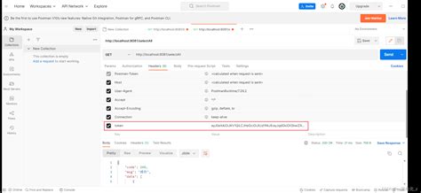 springboot基于token的请求验证 springboot token验证 csdn博客