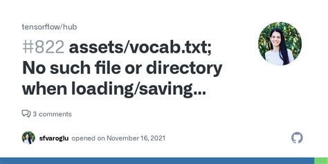 Assets Vocab Txt No Such File Or Directory When Loading Saving BERT