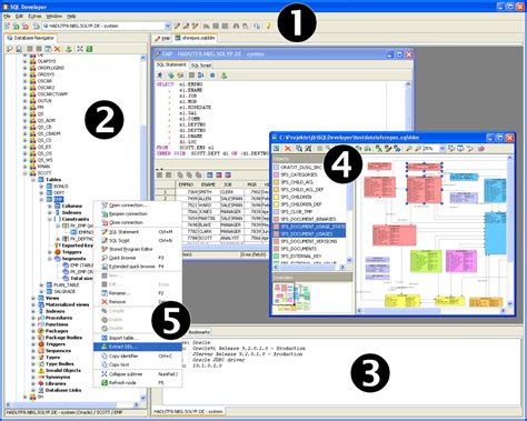 Sql Developer