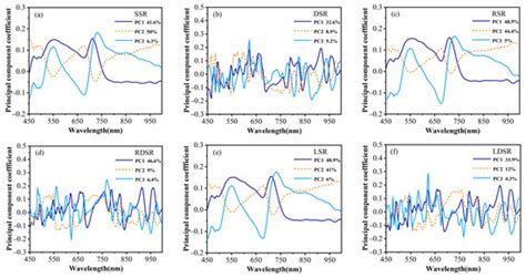 remote sensing free full text retrieving spad values of summer maize using uav hyperspectral