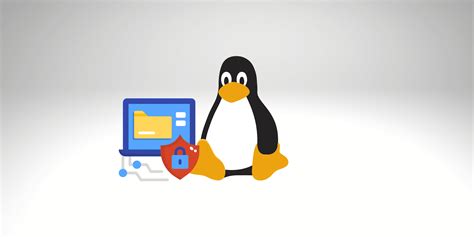 Change Files Permissions On Linux Complete Guide With Examples