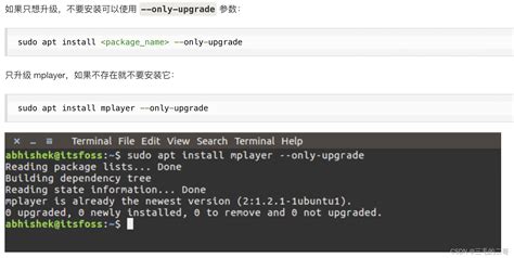 linux：apt命令 apt查看已安装软件包 csdn博客