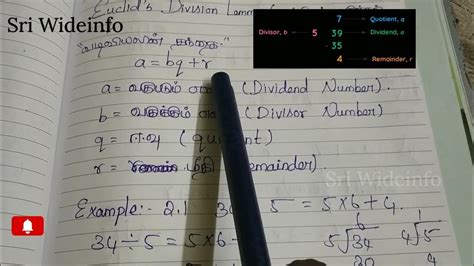 euclid s division lemma 10th maths 10maths euclid division algorithm youtube